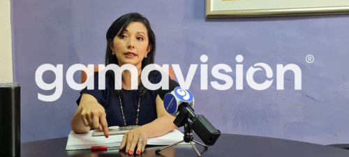 gamavisión