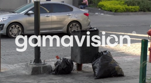 gamavisión