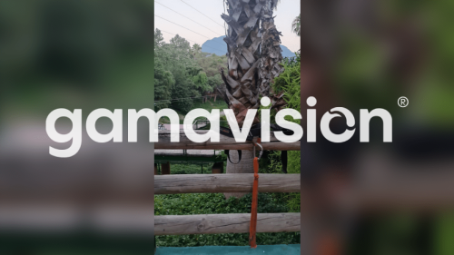 gamavisión
